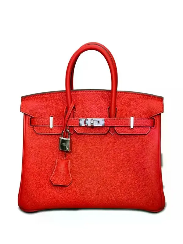 Hermès Birkin 25 Togo Handbag