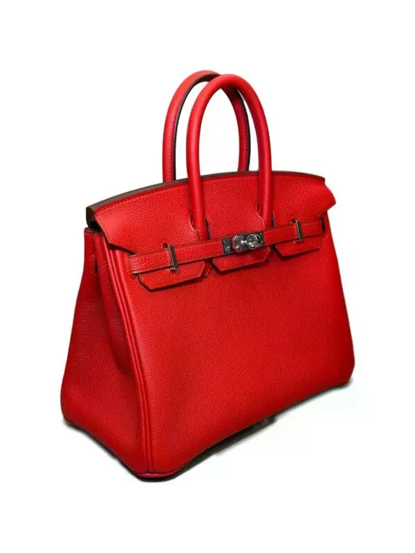 Hermès Birkin 25 Togo Handbag