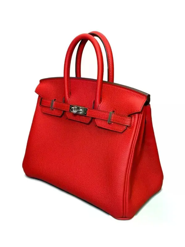 Hermès Birkin 25 Togo Handbag