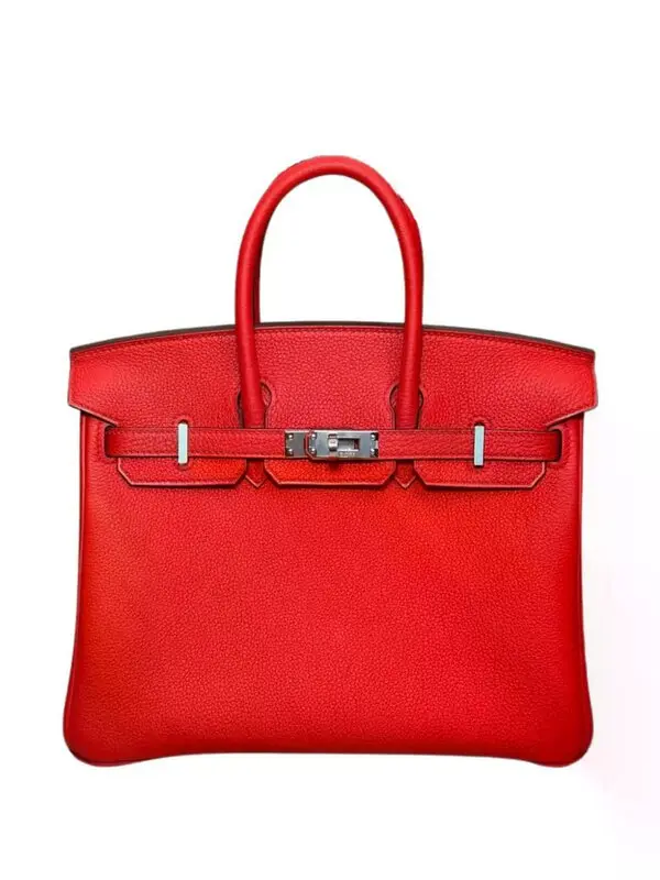 Hermès Birkin 25 Togo Handbag - Red