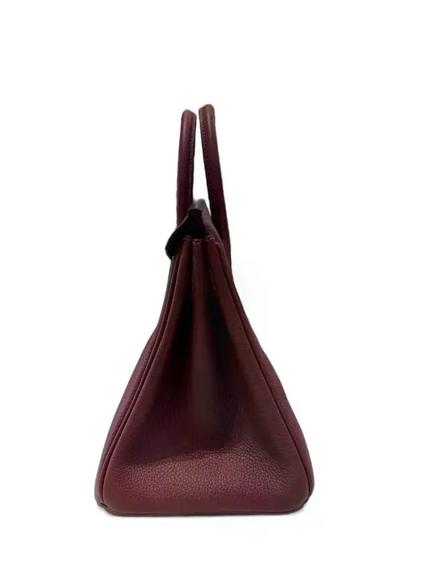 Hermès 2026 Birkin 25 Handbag - Red
