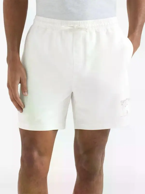 Brunello Cucinelli Drawstring Swim Shorts - Neutrals