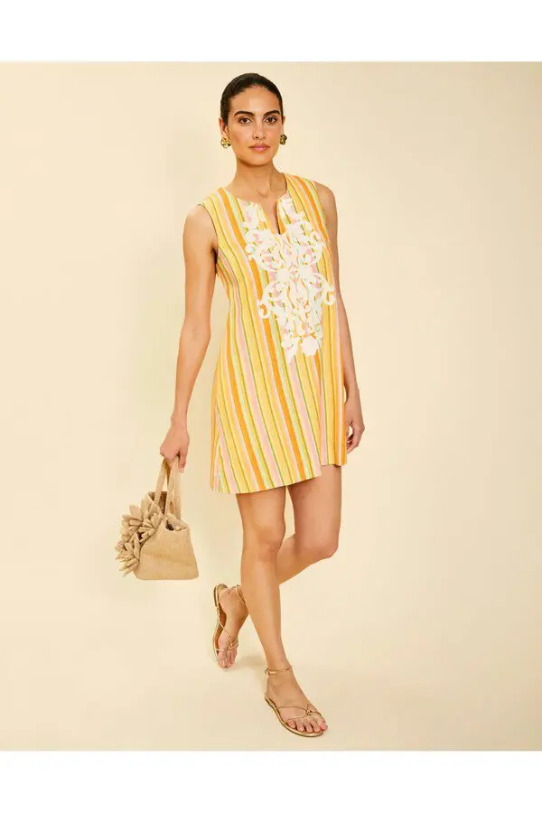 Mestiza New York Belize Embroidered Caftan Mini Dress