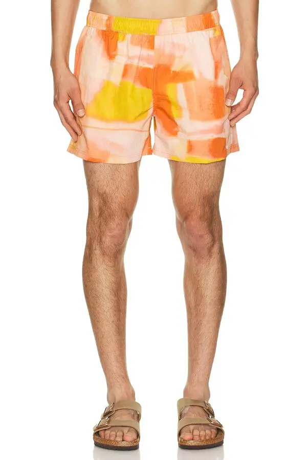 AUTO-REPLY Printed Sebastian Swim Trunk - Painterly Blur