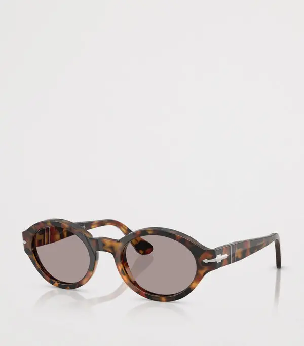 Persol Acetate Loris Oval Sunglasses