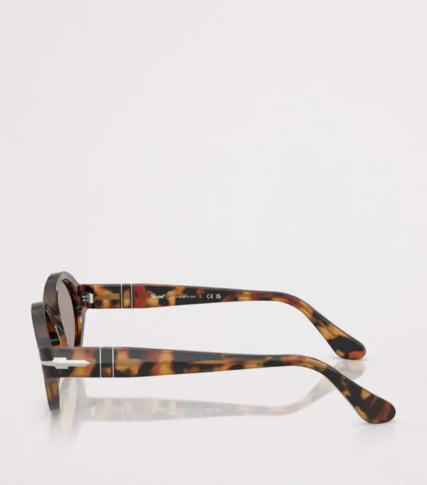 Persol Acetate Loris Oval Sunglasses