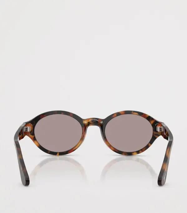 Persol Acetate Loris Oval Sunglasses
