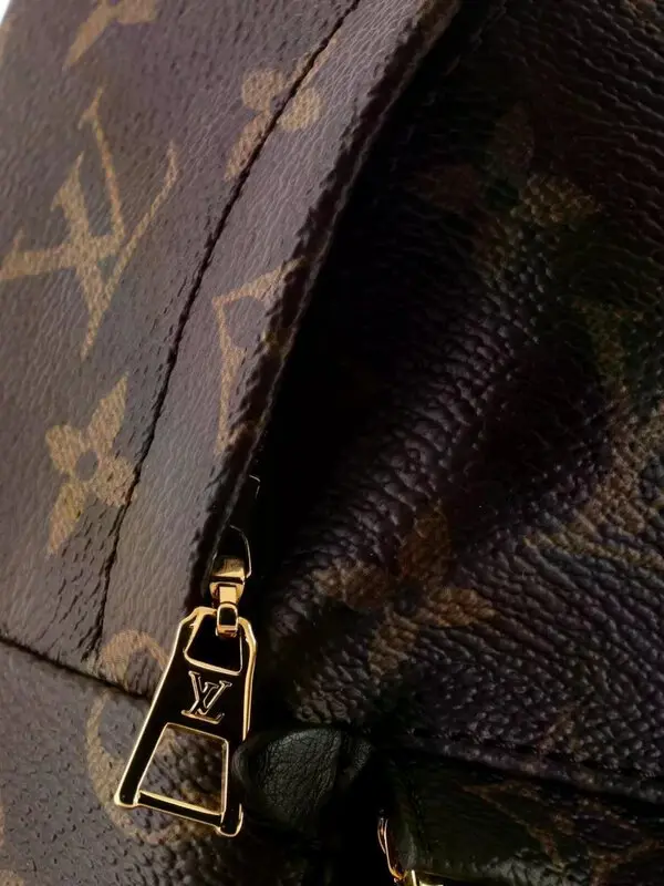 LOUIS VUITTON Palm Springs Monogram Canvas Mini Backpack - Brown