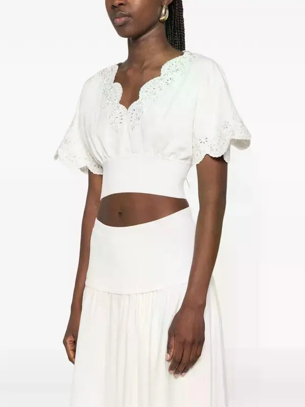 Simkhai Delphina Embroidered Cropped Top
