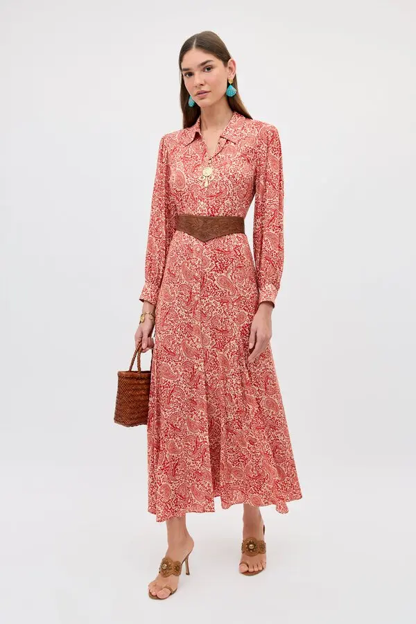 Rixo Maddison Woodcut Gremlin Print Shirt Dress