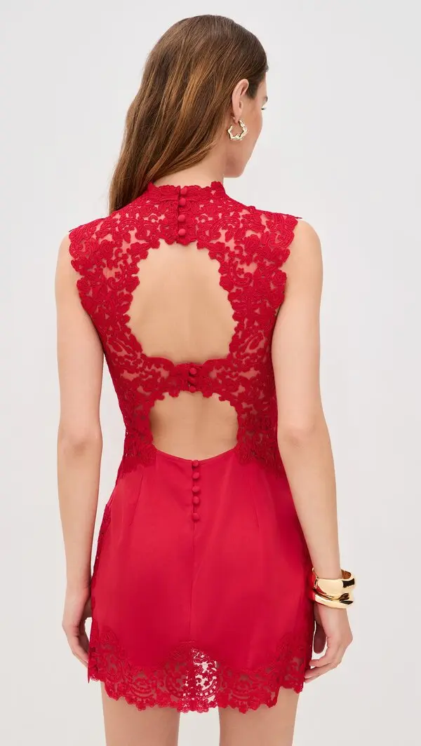 Cult Gaia Riti Lace Trimmed Mini Dress