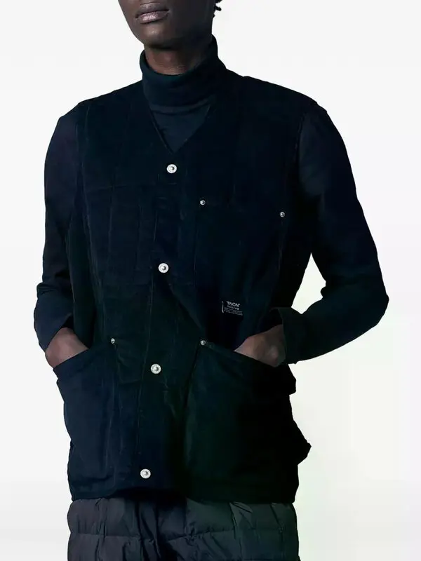 Taion Quilted V-neck Vest