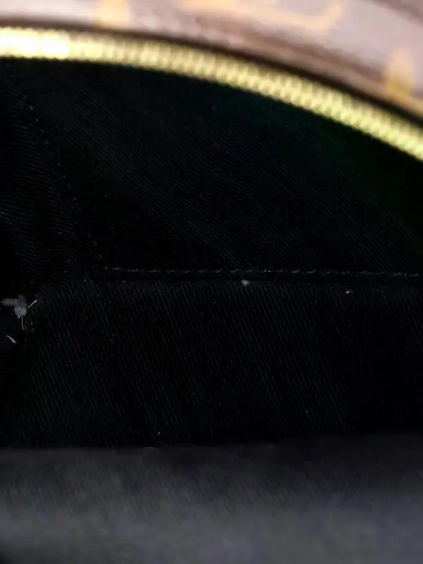 LOUIS VUITTON Palm Springs Monogram Canvas Mini Backpack