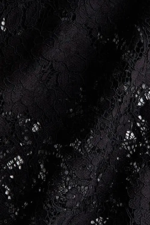 H&m Lace Pencil Skirt