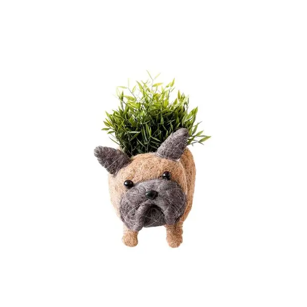 Likhâ French Bulldog Planter Coco Coir Pots - Brown
