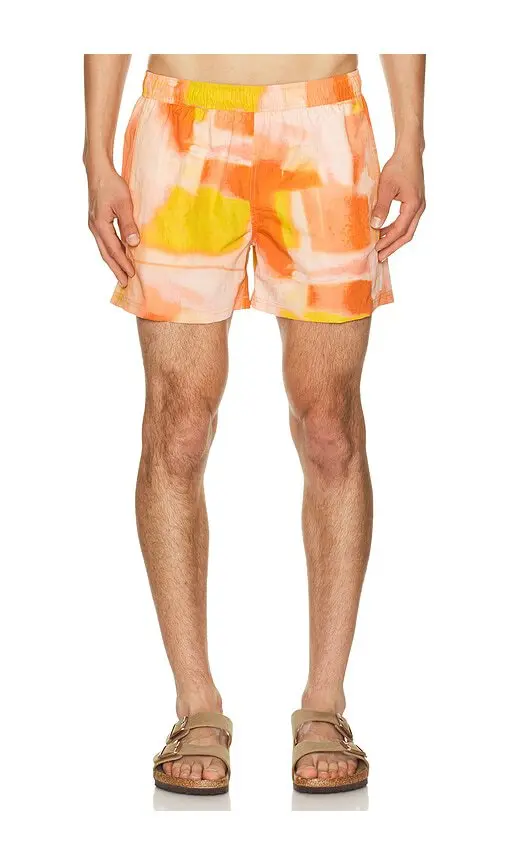 AUTO-REPLY Printed Sebastian Swim Trunk - Painterly Blur