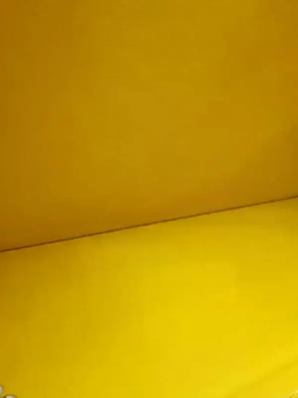 LOUIS VUITTON 2016 Epi Sarah Wallet Long Wallets - Yellow