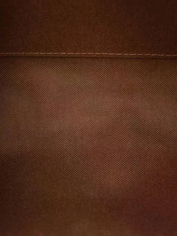 LOUIS VUITTON Monogram Pochette Accessoires Shoulder Bag