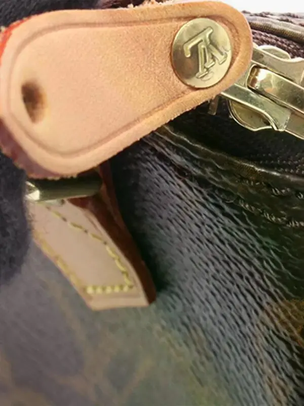 LOUIS VUITTON Monogram Mini Speedy Hl Satchel