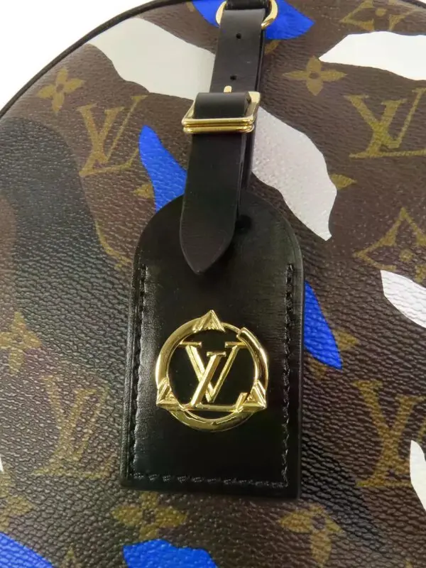 LOUIS VUITTON Monogram Souple Bag - Brown