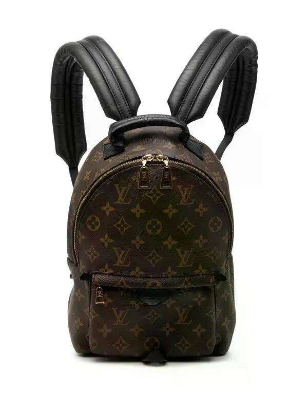 LOUIS VUITTON Monogram Palm Springs Pm Backpack - Brown