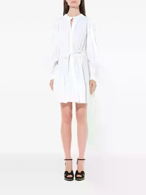 Alexander McQueen Gathered Sleeve Dress
