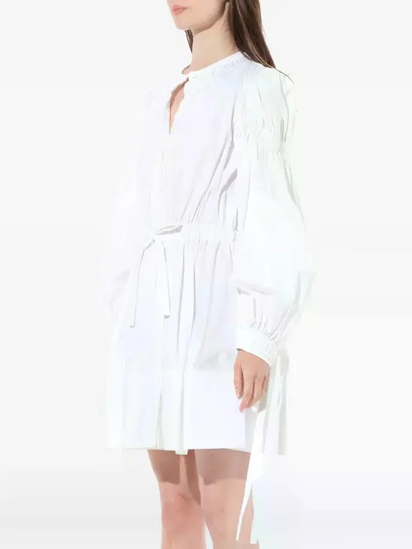 Alexander McQueen Gathered Sleeve Dress