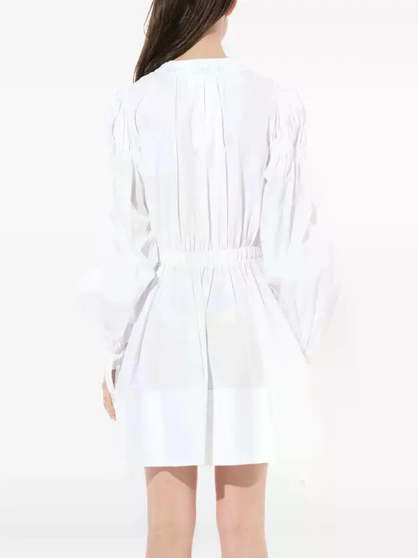 Alexander McQueen Gathered Sleeve Dress