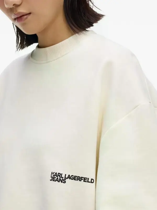 Karl Lagerfeld Karlism Boxy Hoodie - Neutrals