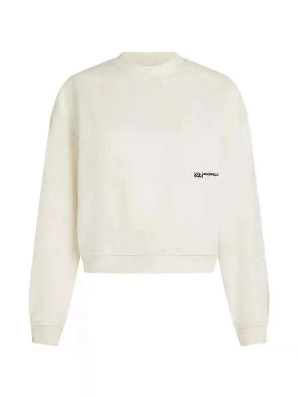 Karl Lagerfeld Karlism Boxy Hoodie - Neutrals
