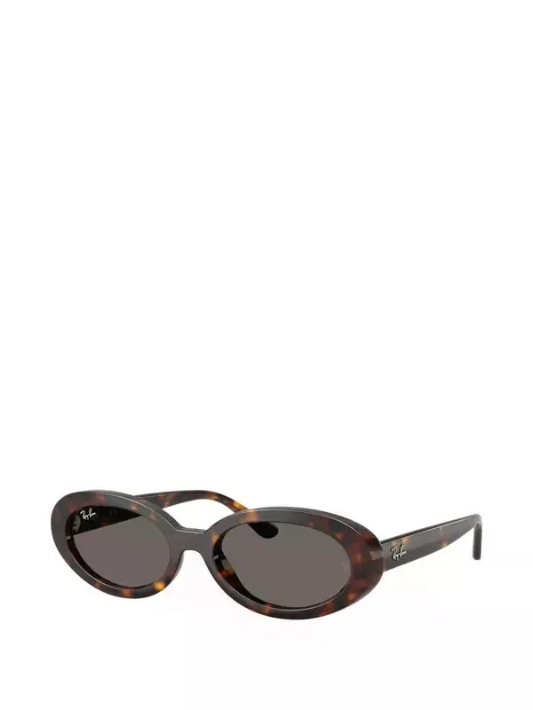 Ray-ban Oval Frame Sunglasses
