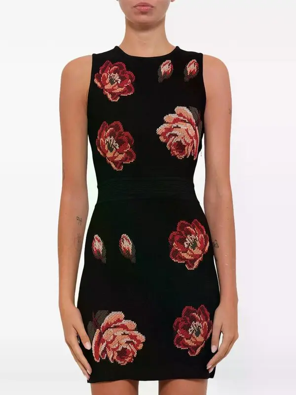 Alexander McQueen Rose Tapestry Mini Knit Dress