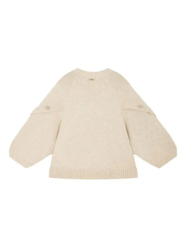 Max Mara Crew Neck Sweater In Cashmere Wool