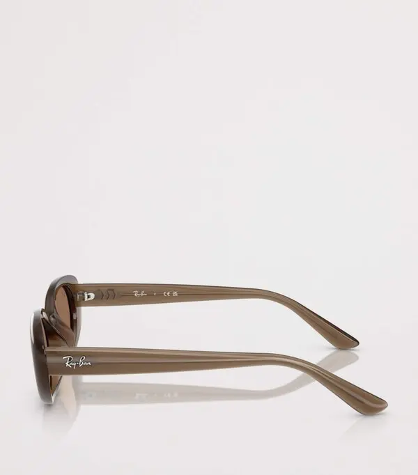 Ray-ban Injected Oval Sunglasses