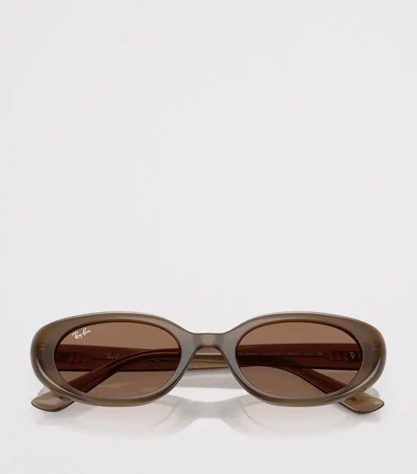 Ray-ban Injected Oval Sunglasses