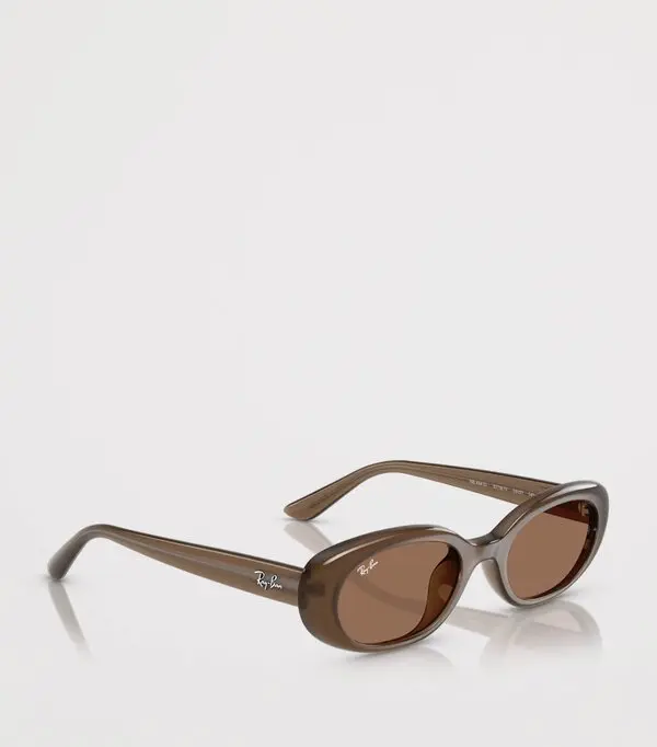 Ray-ban Injected Oval Sunglasses