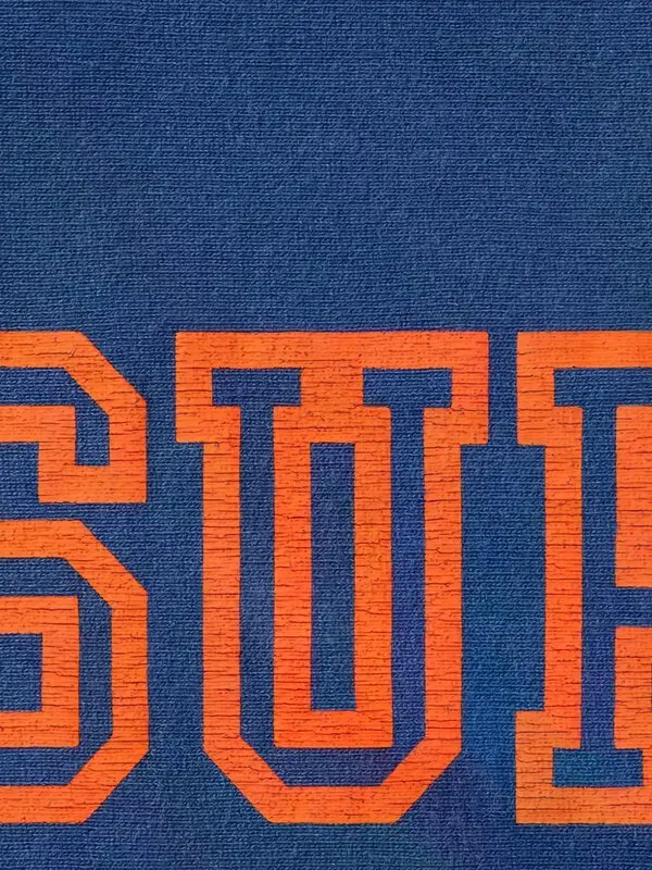 Supreme Collegiate Sleeve Hoodie