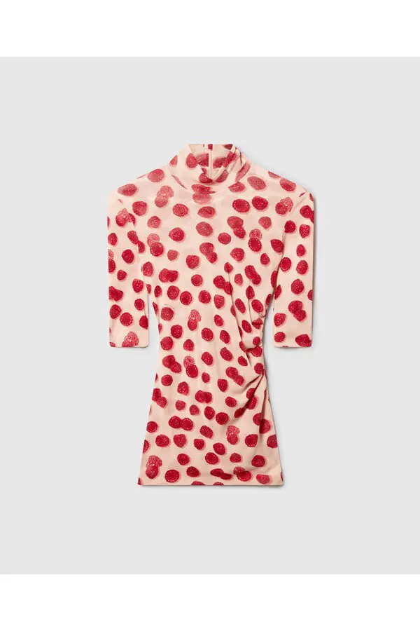 Stella McCartney Raspberry Print High-neck Mesh Top - Red