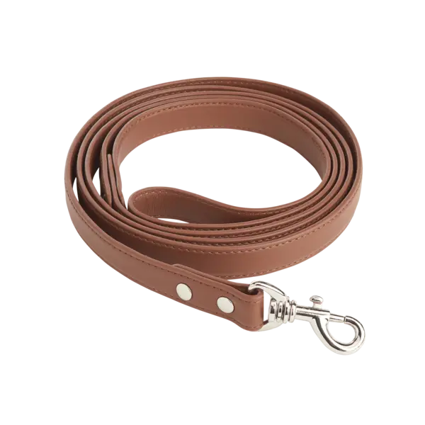 ROYCE NEW YORK 6 Foot Leather Dog Leash With Personalization Option - Tan
