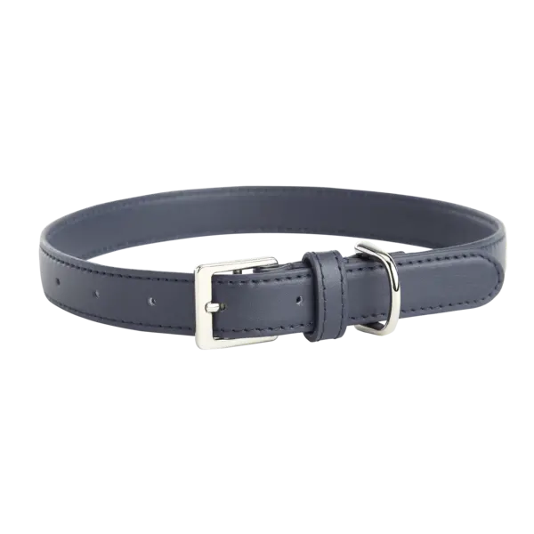 ROYCE NEW YORK Medium Leather Dog Collar - Blue