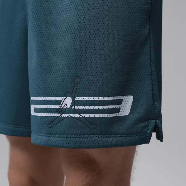 JORDAN Dri-fit Mesh Graphic Shorts