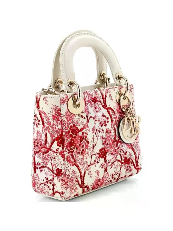 Dior Lady Chain Bag Embroidered Calfskin Mini Satchel - Multicolour