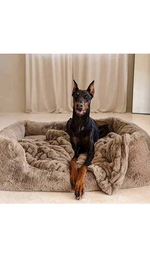 LOLA BLANKETS The Pet Blanket