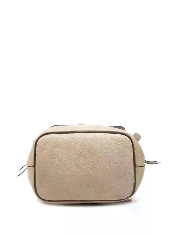 Chloé Faye Backpack In Calfskin And Suede - Brown