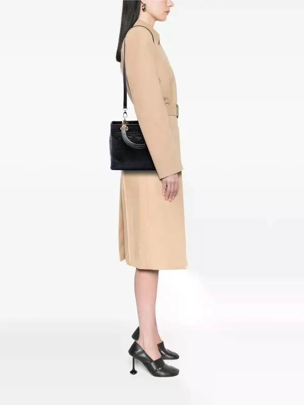 Dior Medium Lady Cannage Lambskin Satchel - Black
