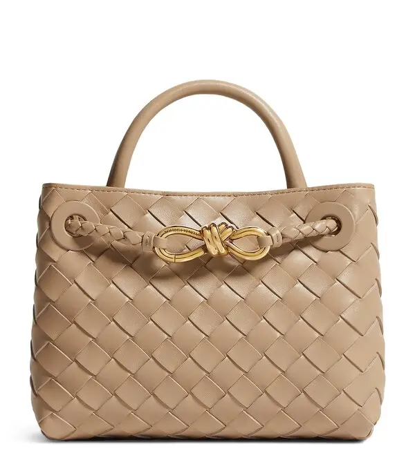 Bottega Veneta Mini Andiamo Top-handle Bag - Neutral