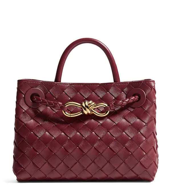 Bottega Veneta Mini Andiamo Top-handle Bag