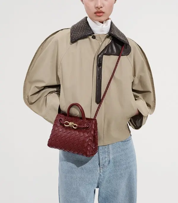 Bottega Veneta Mini Andiamo Top-handle Bag