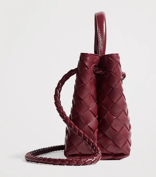 Bottega Veneta Mini Andiamo Top-handle Bag