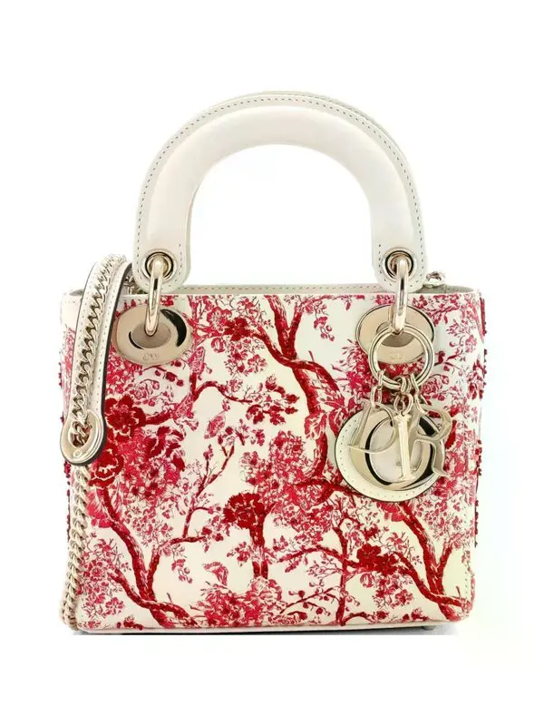 Dior Lady Chain Bag Embroidered Calfskin Mini Satchel - Multicolour